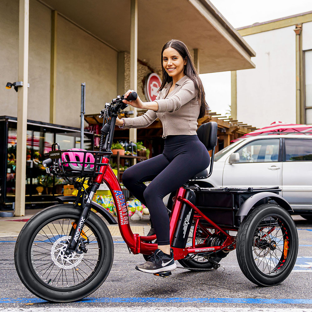 Addmotor Grandtan Plus M-340 Fat Tire Electric Trike